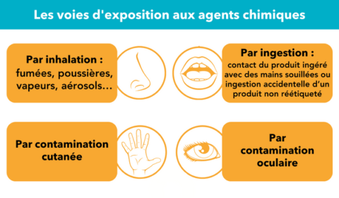 Focus sur… Le risque chimique professionnel
